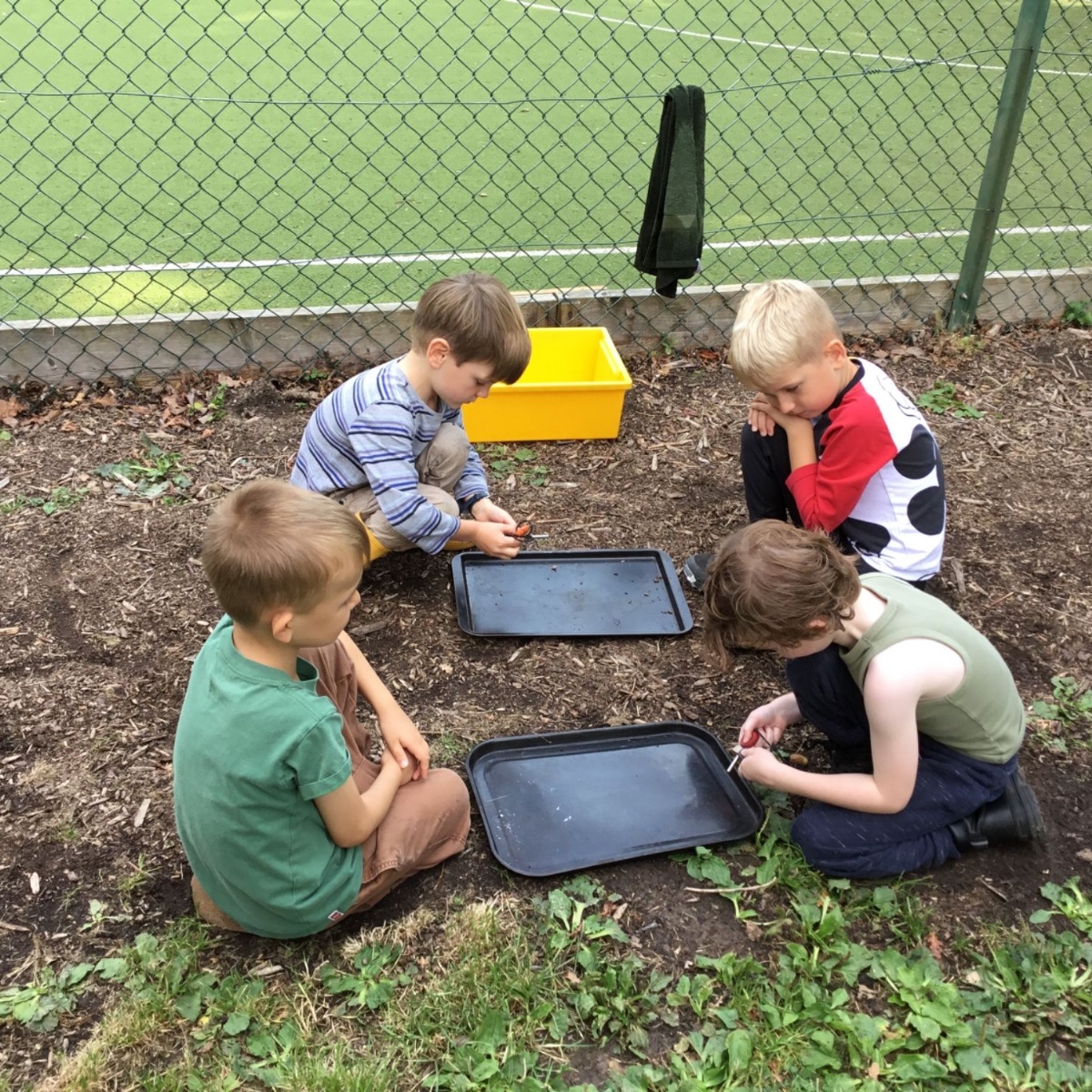 Colliers Green CofE Primary School - Meadow Browns - A September Storm ...