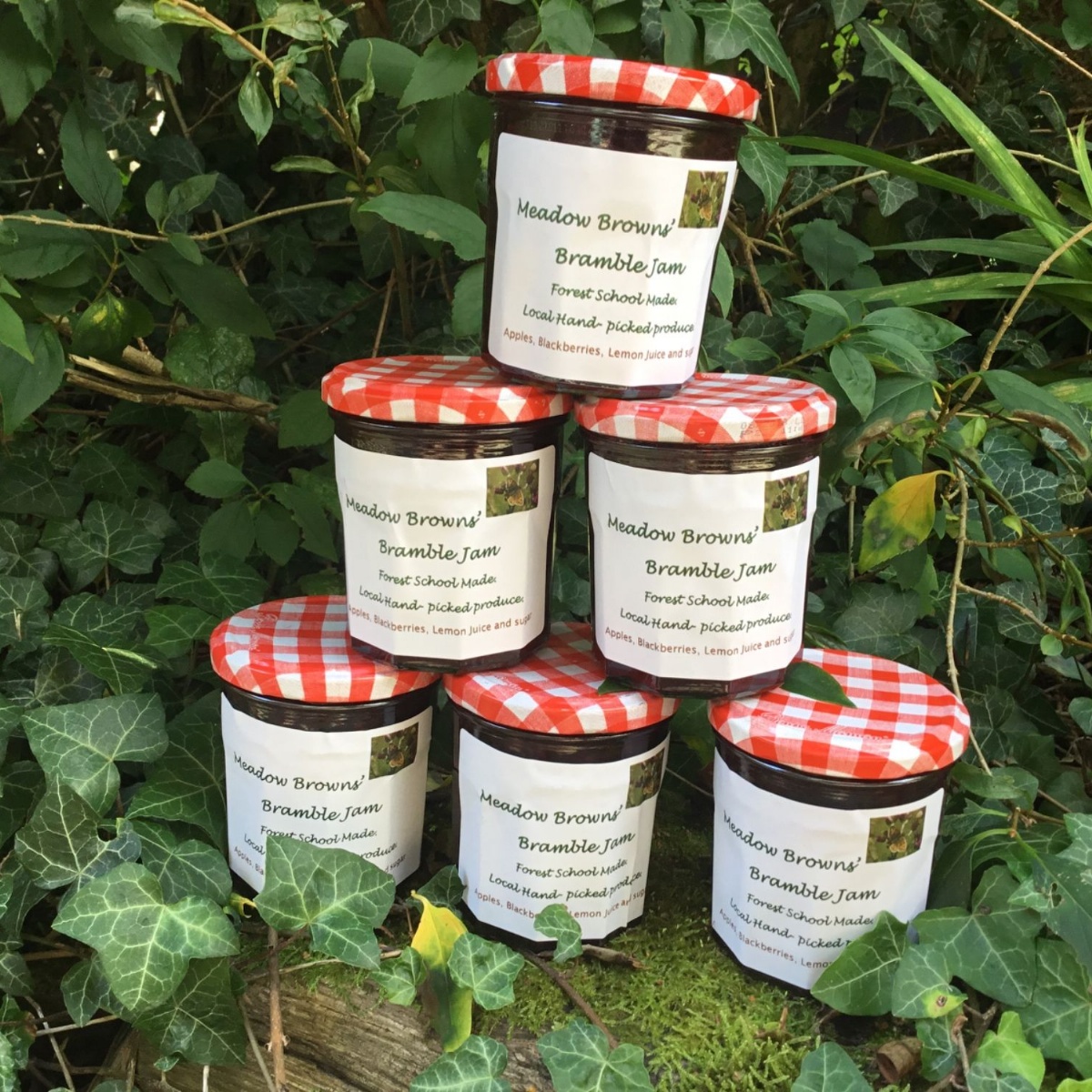 Colliers Green CofE Primary School - Meadow Browns - Rather Jammy ...