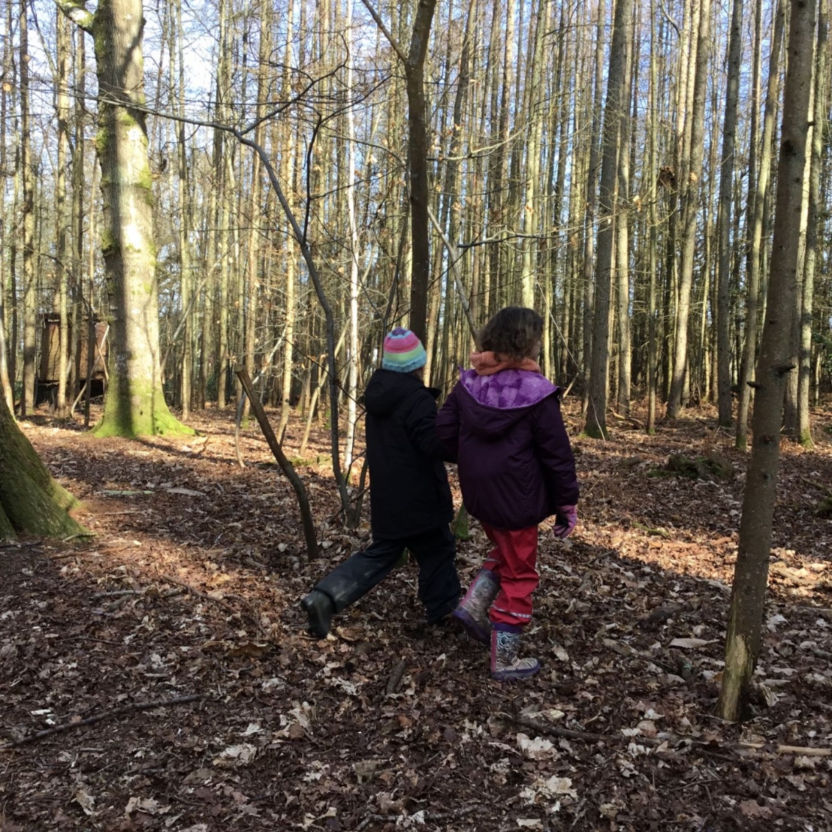 Colliers Green CofE Primary School - A Bird in the Hand